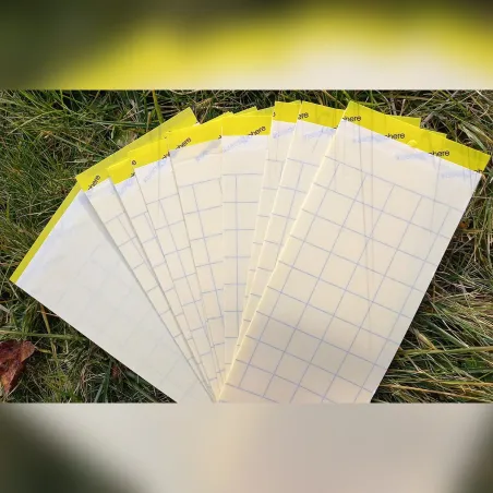 Piège englué chromatique Jaunes