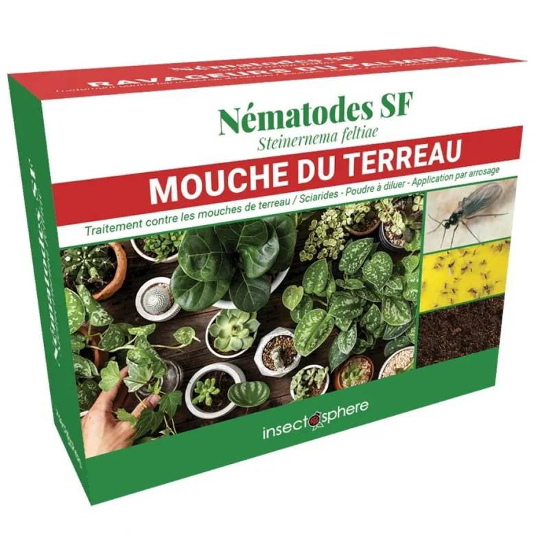 Nématodes anti mouches du terreau, anti sciarides