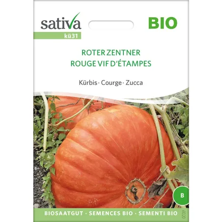 Courge Rouge Vif d'Etampes