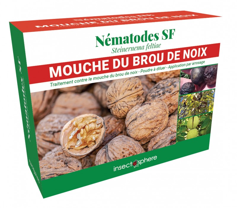 Phéromone mouche du brou des noix